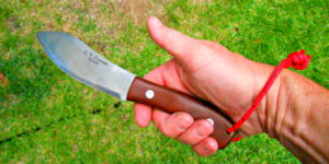 SurvivalCommonSense.com, a common sense approach to Wilderness and ...