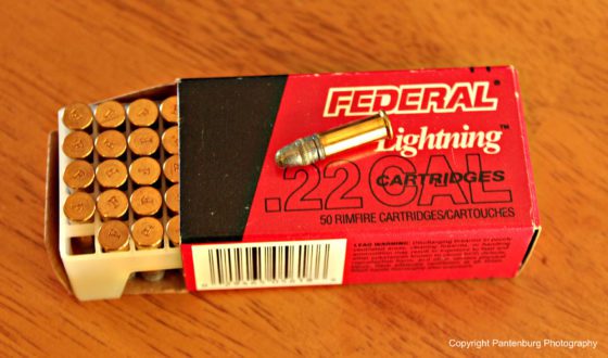 best .22 rifle for hunting and survival - take a look at the Ruger 10/22