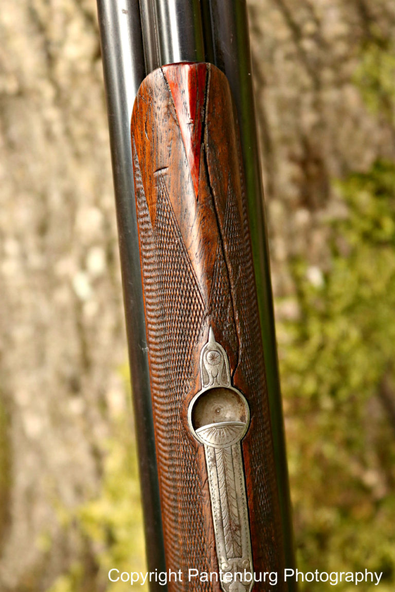 SurvivalCommonSense.com, a common sense approach to Wilderness and ...