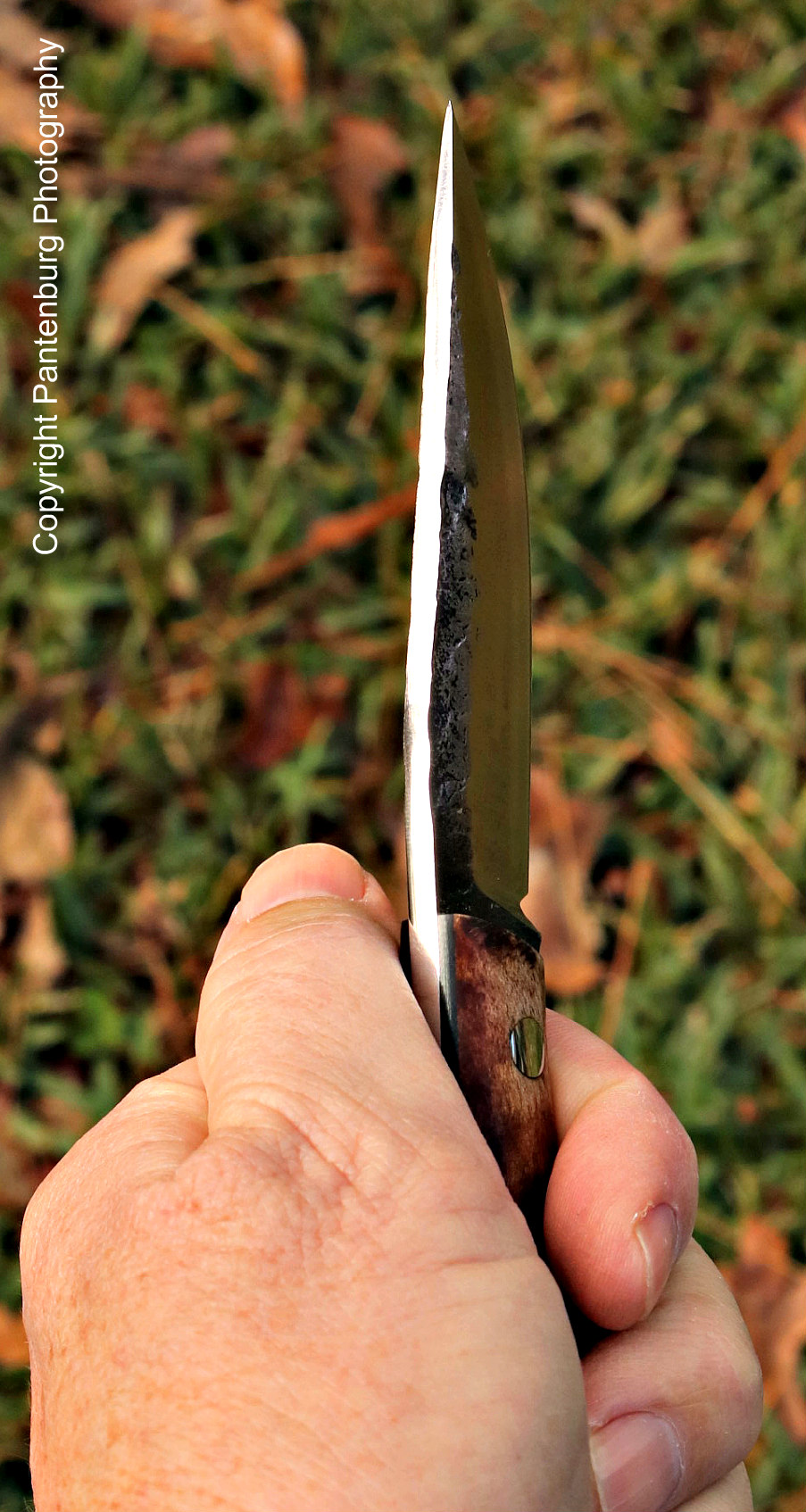 SurvivalCommonSense.com, a common sense approach to Wilderness and ...