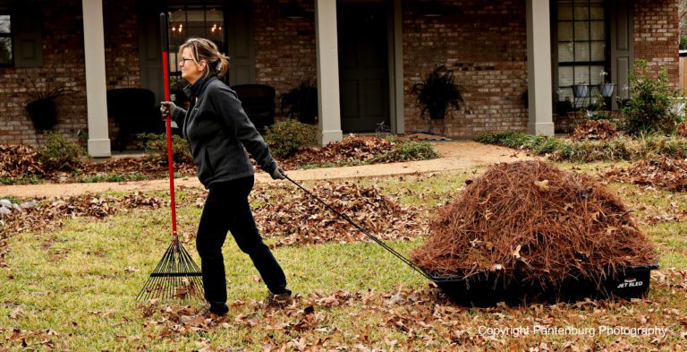 SurvivalCommonSense.com, a common sense approach to Wilderness and ...