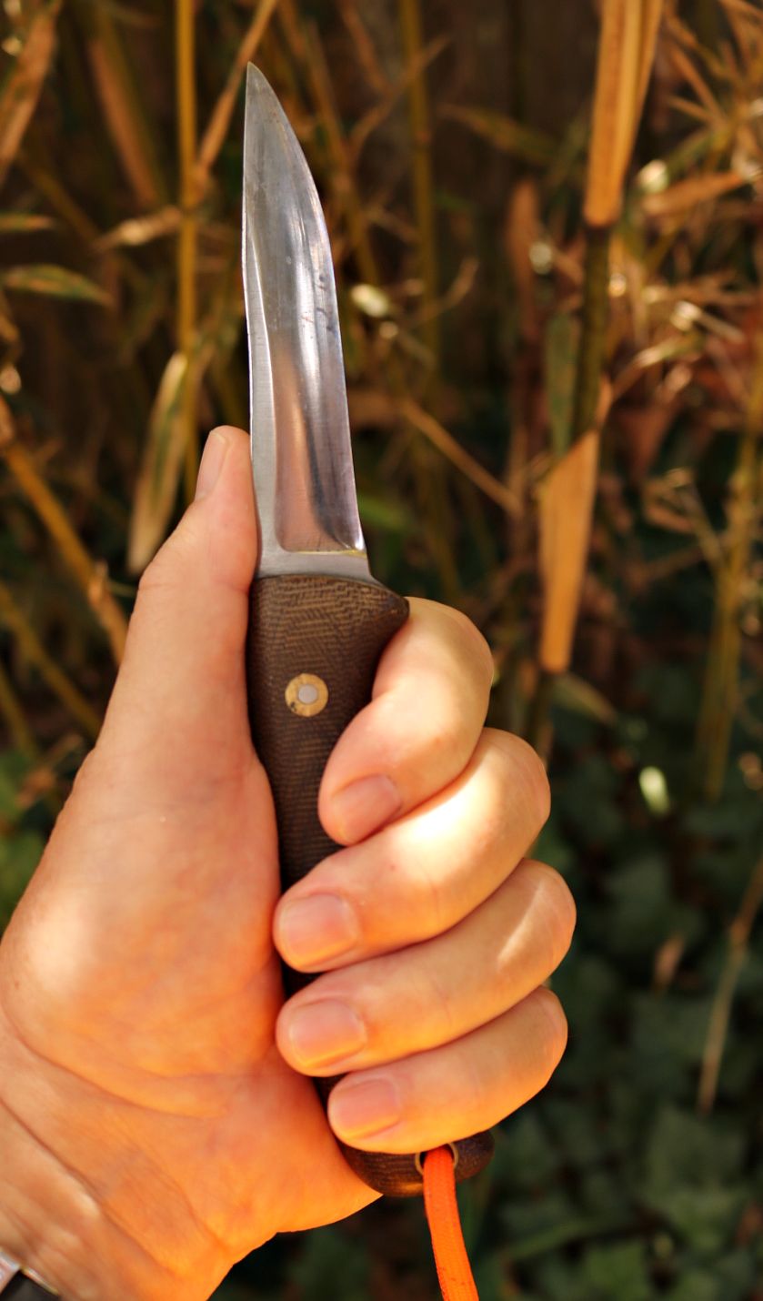 SurvivalCommonSense.com, a common sense approach to Wilderness and ...