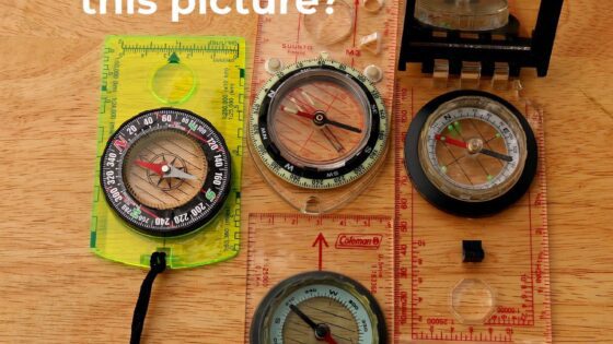 Top 5 wilderness survival skills you need for urban survival